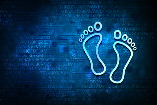 What Your Digital Footprint Reveals and Who is Watching | Bipartisan ...