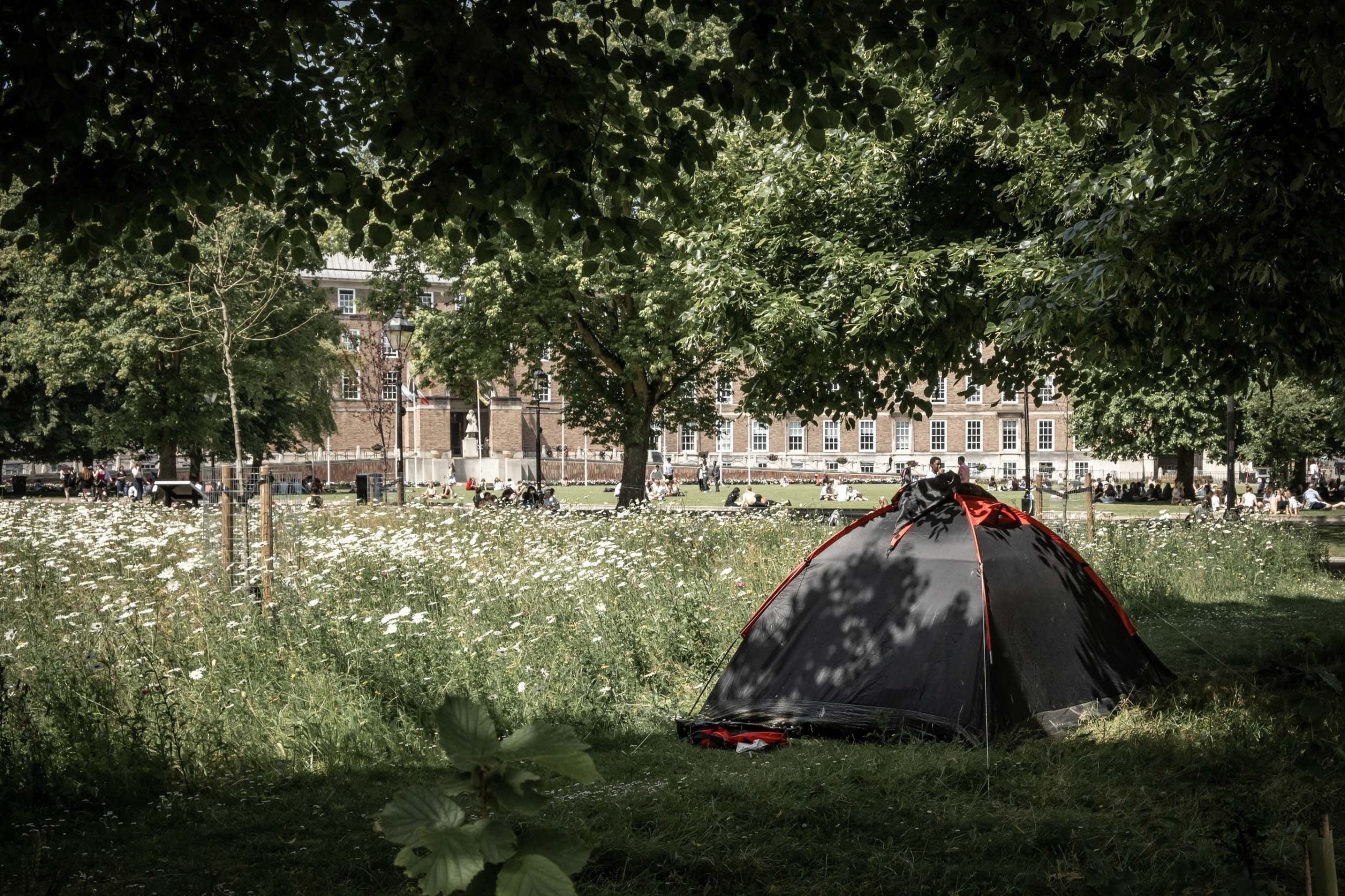 Housing Insecurity and Homelessness Among College Students