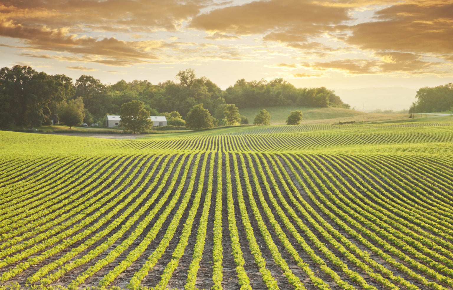 A Path Forward for Conservation and Regenerative Agriculture ...